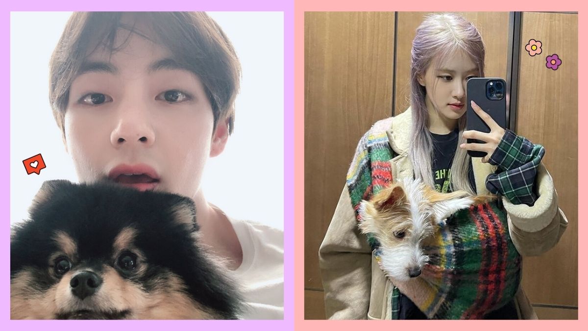 8 idols del K-Pop y sus mascotas super lindas